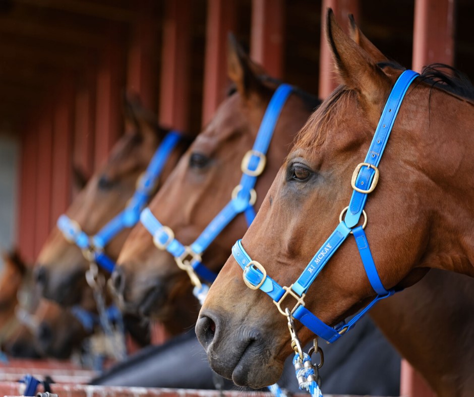 Wanganui Jockey Club - Wanganui Jockey Club